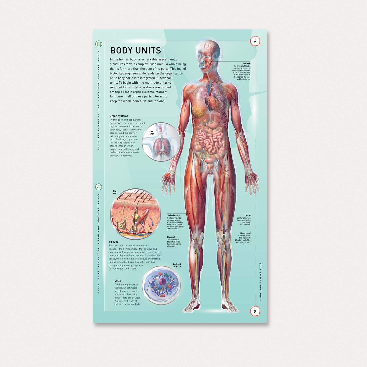 Dictionary of the Human Body – My Portfolio